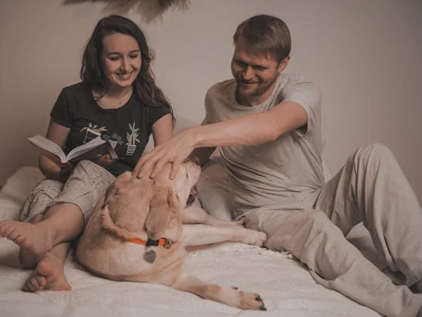 The Ultimate Guide to Choosing the Perfect Pet for Your Lifestyle - We ...